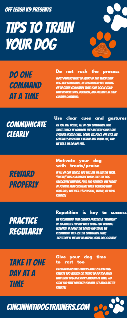 How To Structure My Dogs Training - Off Leash K9 Training Cincinnati, OH