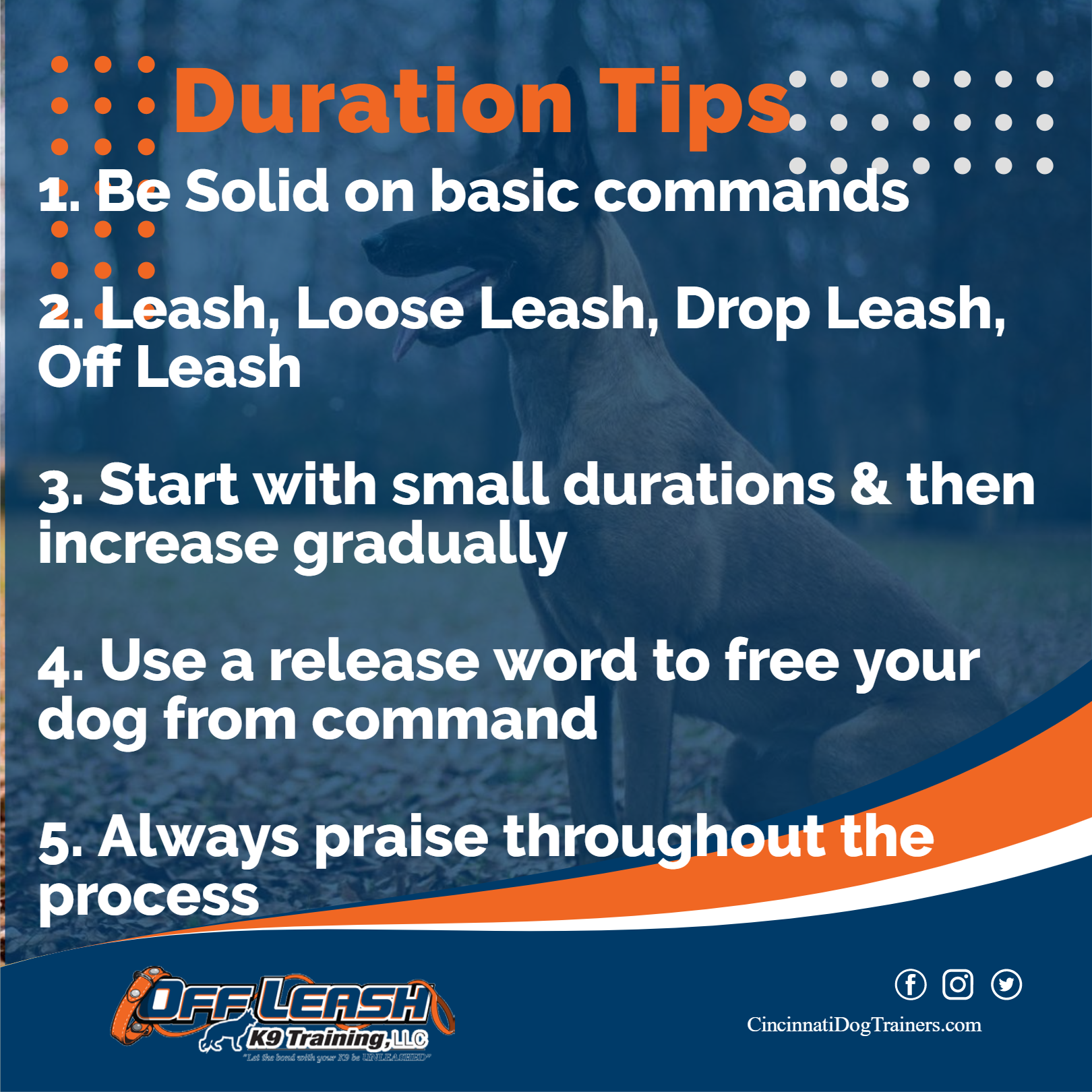 How To Get Your Dog To Stay In Command - Off Leash K9 Training ...